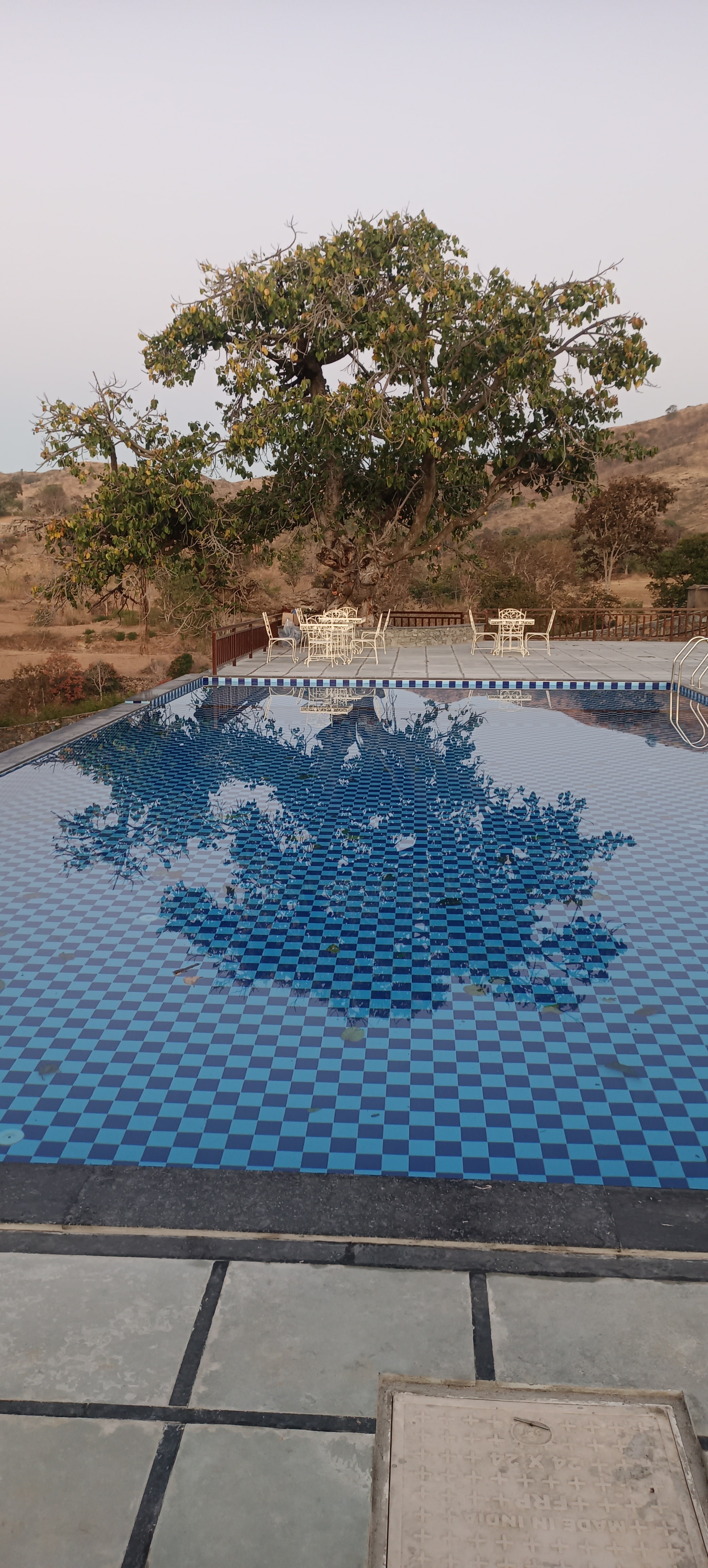 Gallery - Kumbhal Exotica