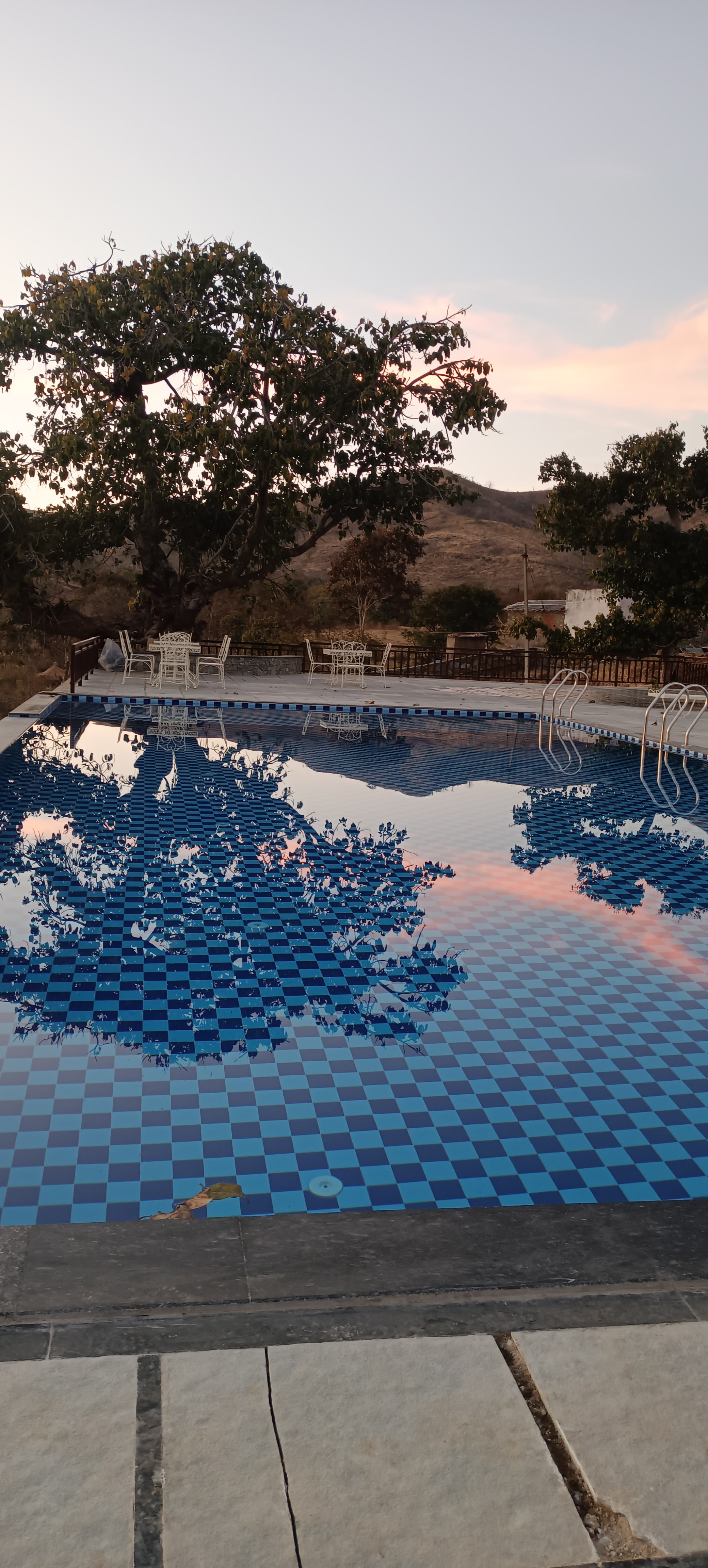 Gallery - Kumbhal Exotica